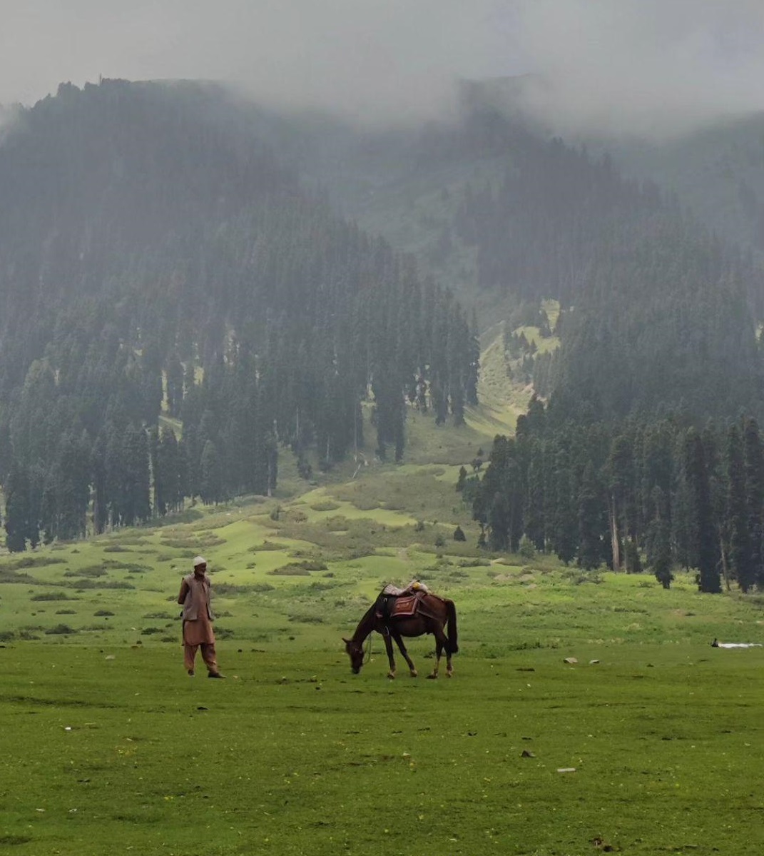 Numa Fathima | Personal Portfolio