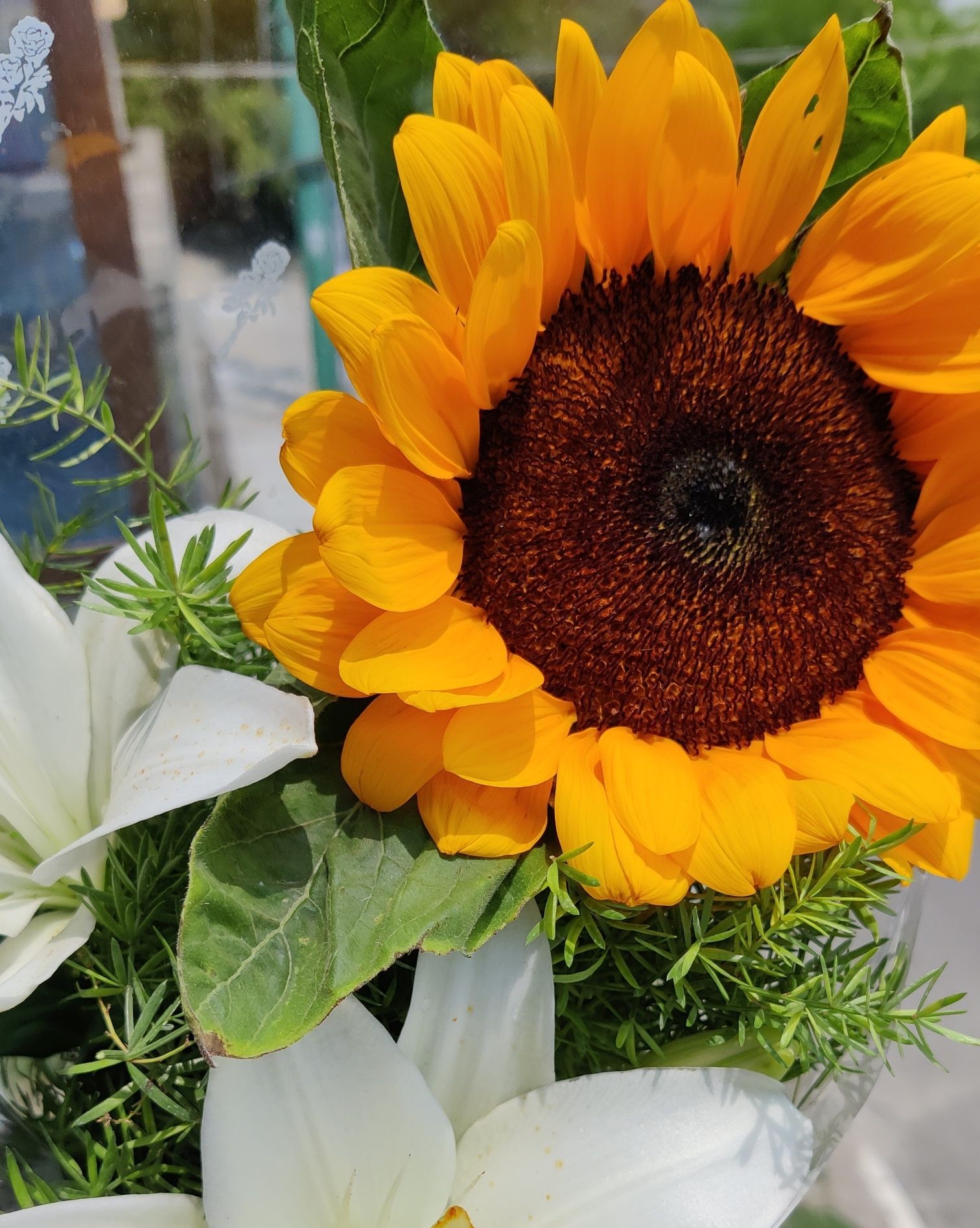 Numa Fathima | Personal Portfolio